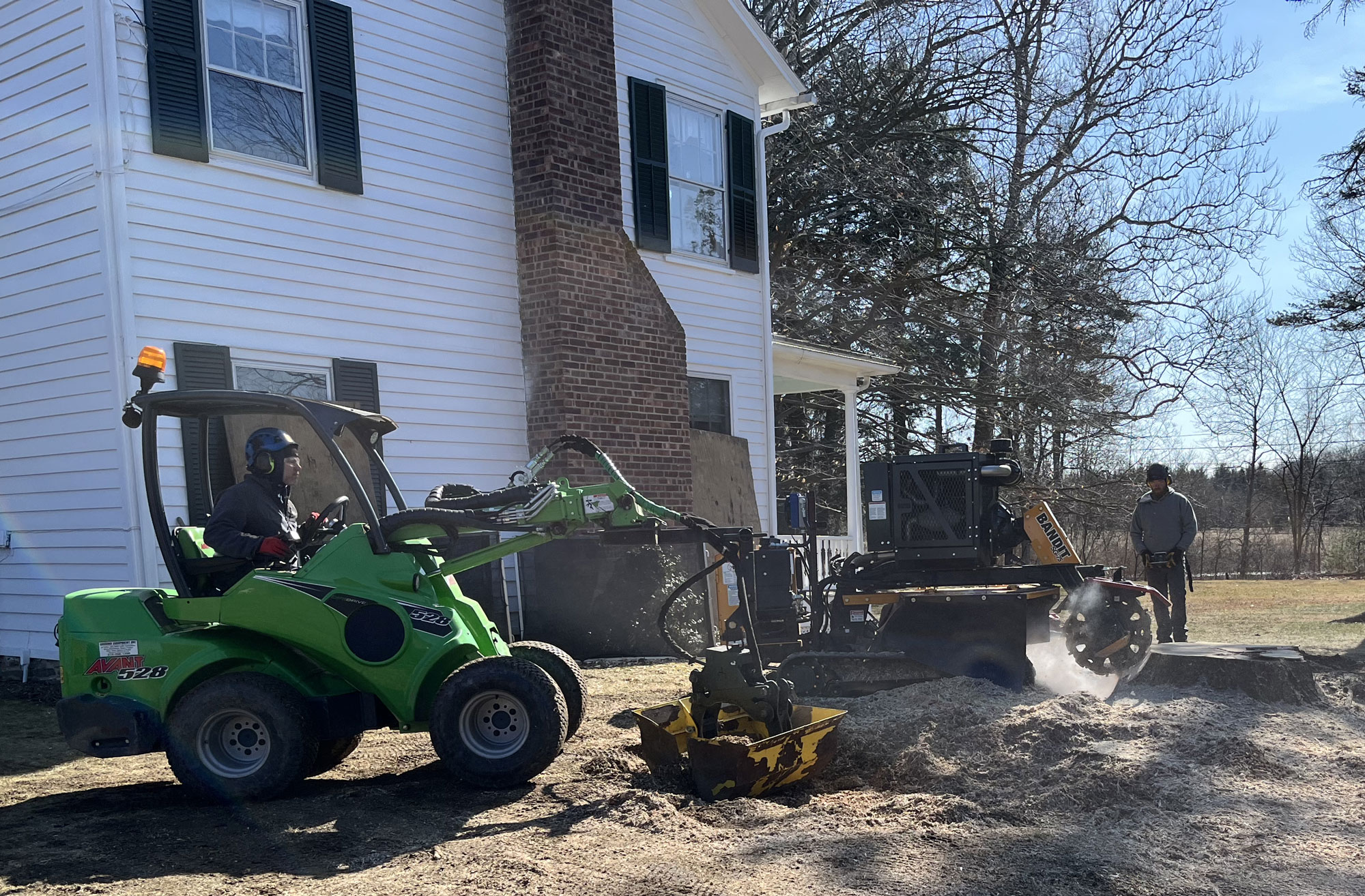 Tree Removal and Stump Grinding - Newton Hook Tree Care